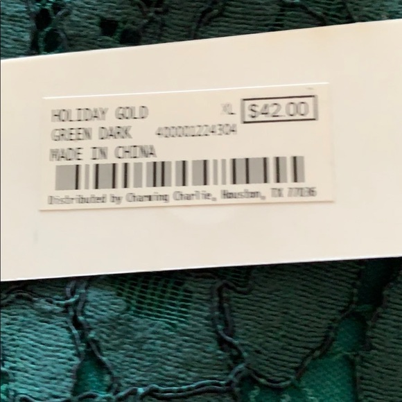 Charming Charlie | Dresses | Green Lace Dress From Charming Charlies ...